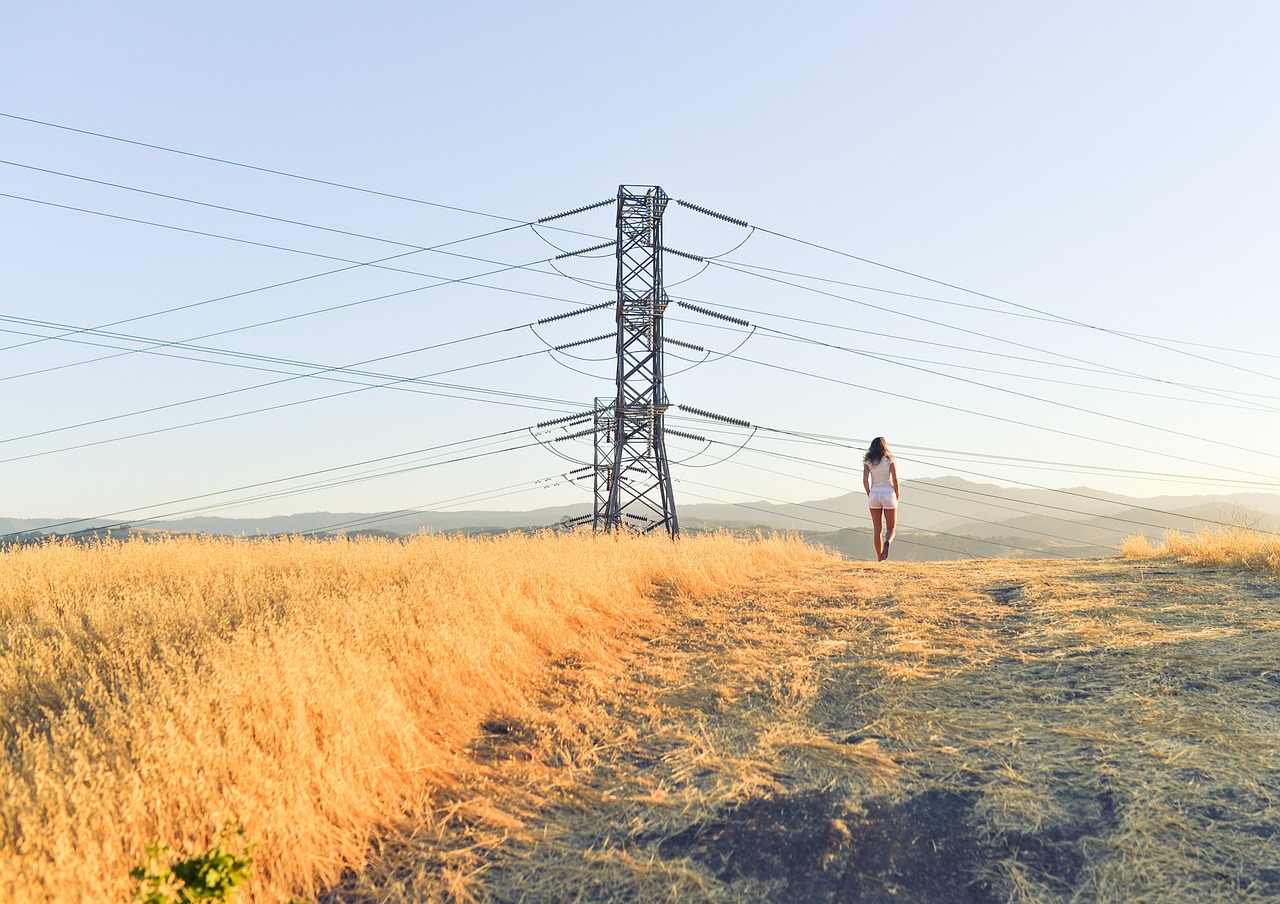 Exploring the Best Substitute for Fossil Fuels