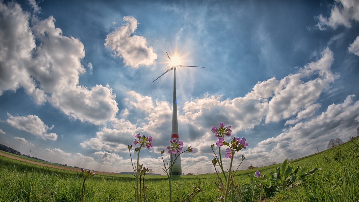 Wind Energy Advantages and Disadvantages (The Best Guide)
