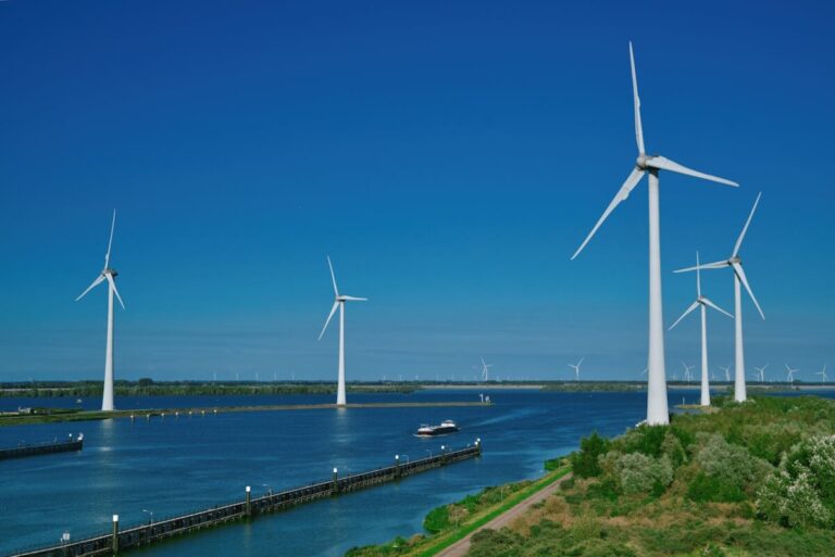Comparing Onshore and Offshore Wind Energy Generation